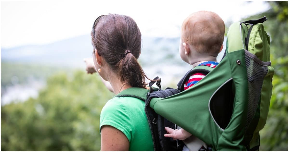 10 Best Toddler Backpack Carrier Reviews [Over $100] » Kidsbackpackreview